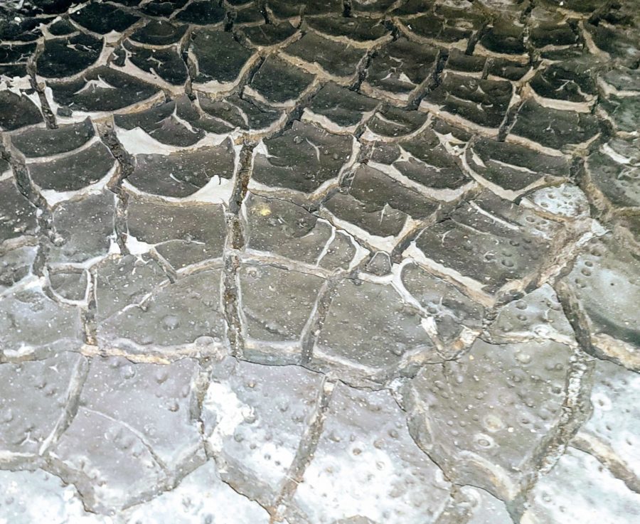 Expansive Soils and Structural Foundations - Dudley Engineering